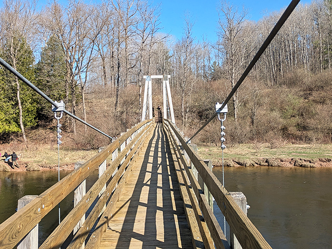Sunlight creates dramatic shadows on this suspension bridge, where every step feels like walking between chapters of a wilderness story.