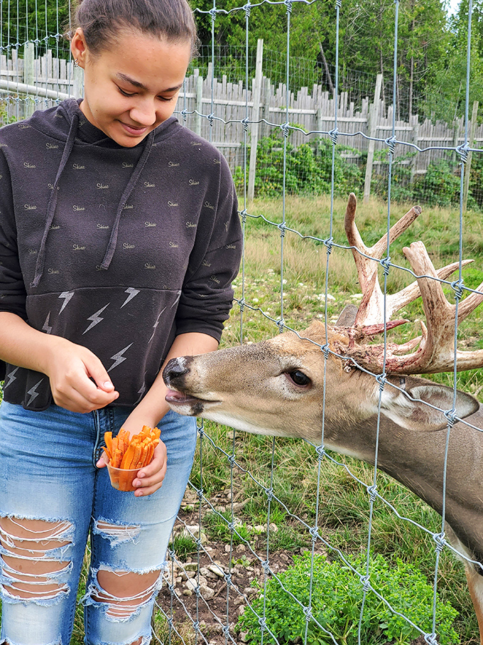 The universal language of food brings humans and deer together in a delightful exchange that never gets old.