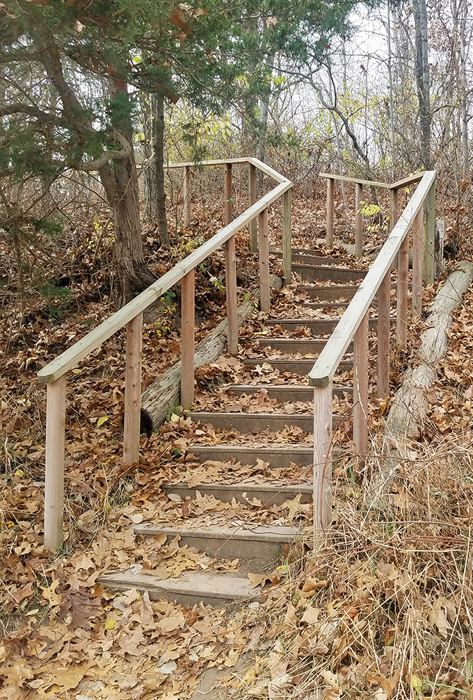 These weathered wooden stairs aren't just steps – they're chapters in a journey, each one leading deeper into the story.