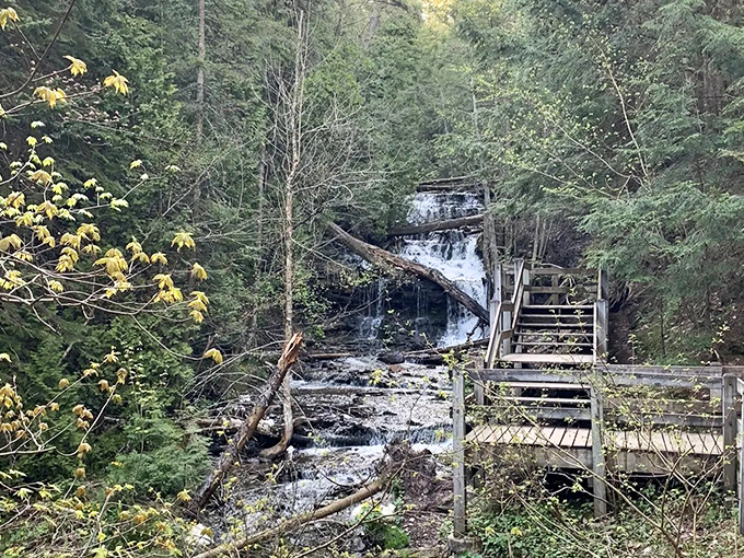 Rustic wooden stairs invite visitors deeper into the forest sanctuary, promising the reward of cascading waters just beyond view.