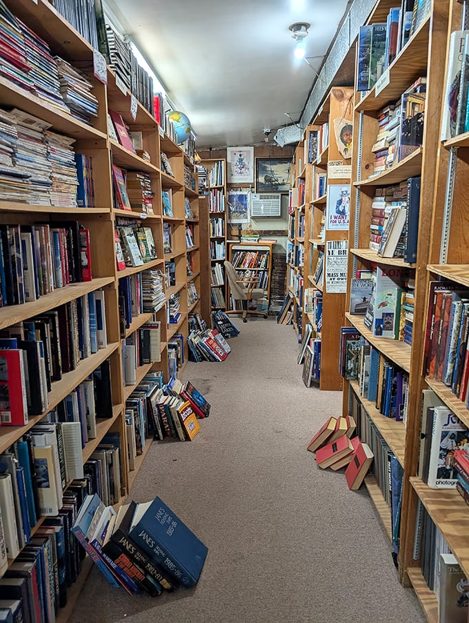 Each aisle offers its own journey of discovery, with handwritten section markers guiding explorers through this paper-scented maze of possibilities.