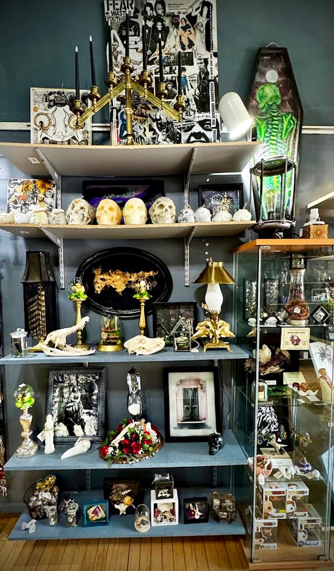 A cabinet of curiosities that would make Victorian collectors reach for their smelling salts.