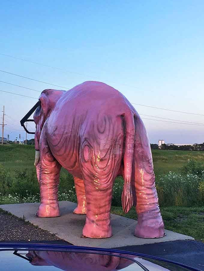 From behind, Pinkie's wrinkled pink hide shows the craftsmanship that went into creating this roadside masterpiece. Even elephant posteriors can be art!