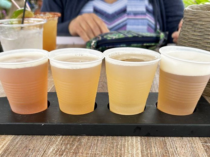 Four golden glasses of liquid sunshine &ndash; the beer flight at Octopus' offers a taste adventure without commitment.
