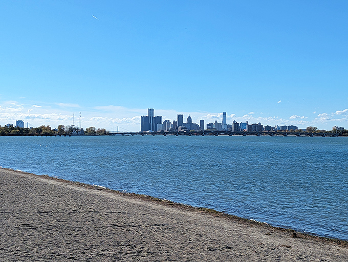 Belle Isle Beach offers the surreal experience of swimming with Detroit's skyline as your backdrop &ndash; no filter needed for these views.