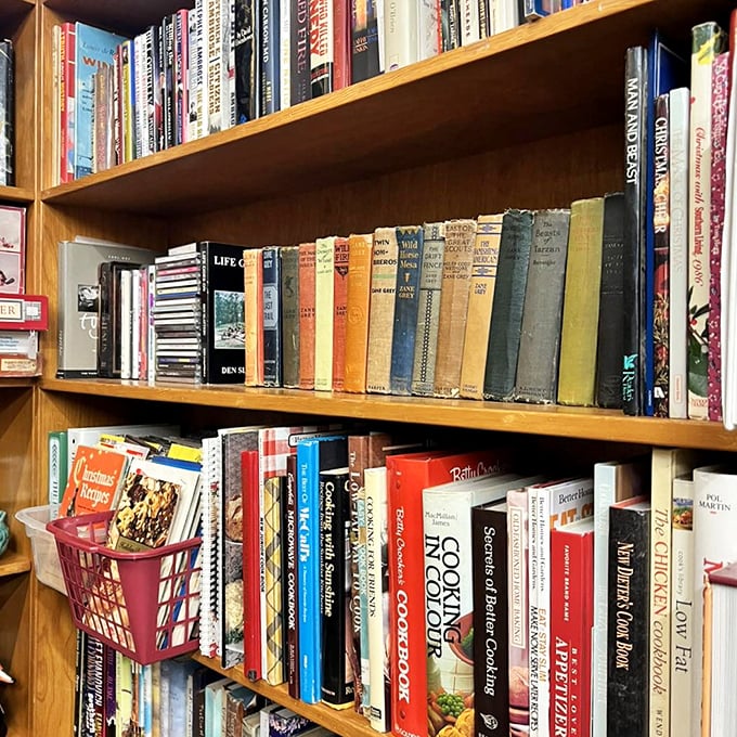 Bibliophiles beware: you'll lose hours among these shelves where vintage cookbooks neighbor forgotten classics and first editions hide in plain sight.