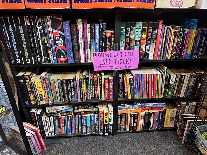 "Buy one get one free" isn't just a deal &ndash; it's an invitation to double your nostalgia dose with these paperback portals to worlds we once escaped into.