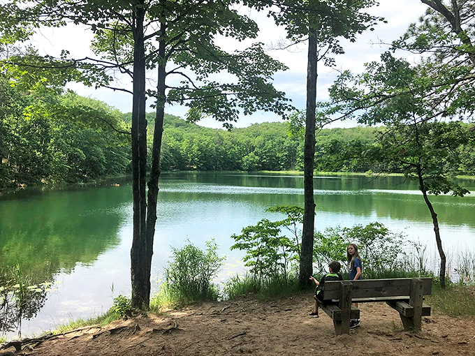 A front-row seat to nature's greatest show &ndash; this lakeside bench offers contemplative moments that no streaming service could ever match.