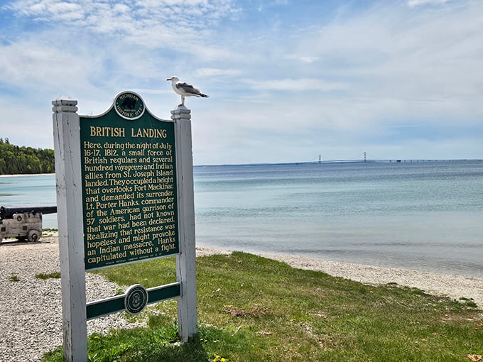 British Landing commemorates a pivotal War of 1812 moment, where today's peaceful shoreline belies its strategic military history, complete with seagull supervision.