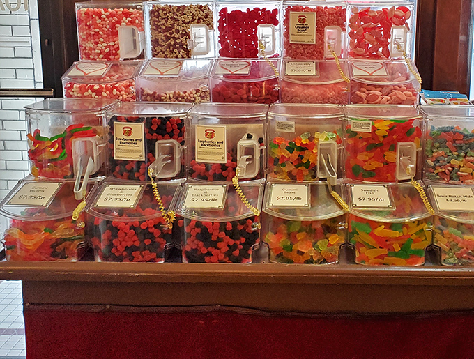 A rainbow of sugary possibilities awaits in these perfectly aligned bins – like an edible color wheel designed by someone who understands the architecture of joy.