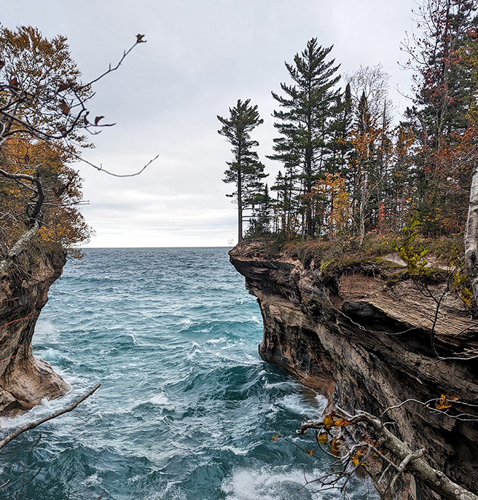 Chapel Beach's dramatic cliffs stand like ancient guardians, watching over turquoise waters that could make Caribbean islands jealous.