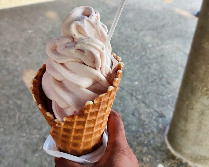 This isn't just ice cream &ndash; it's a swirled masterpiece of chocolate and vanilla that makes you question why you'd ever settle for just one flavor.