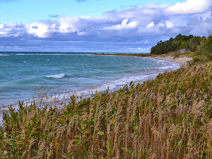 Nature's perfect frame – wild grasses dance in the breeze while Lake Michigan's waves create a rhythmic soundtrack.