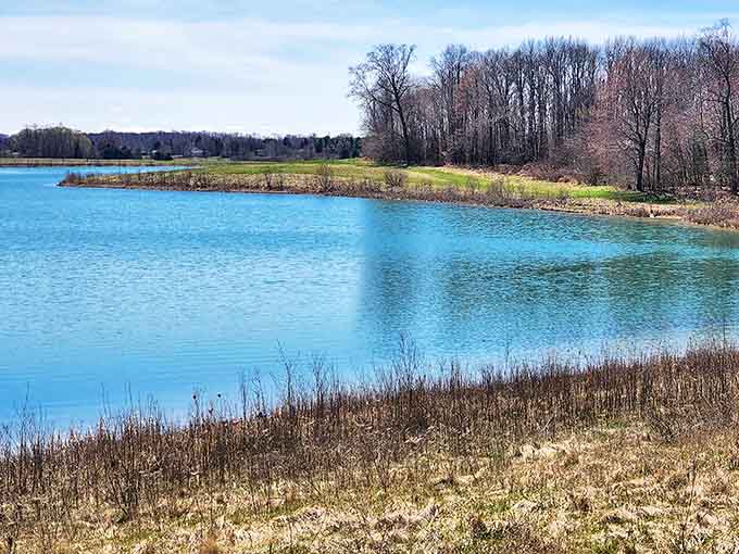 Crandell Park's tranquil waters reflect the changing Michigan sky, creating a natural mirror that doubles the beauty of every season.