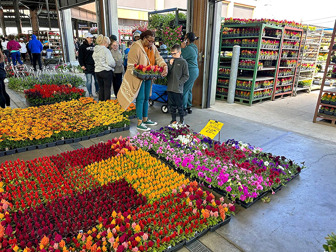 Flower vendors create an impromptu botanical garden, proving that Eastern Market feeds not just stomachs but souls hungry for beauty.