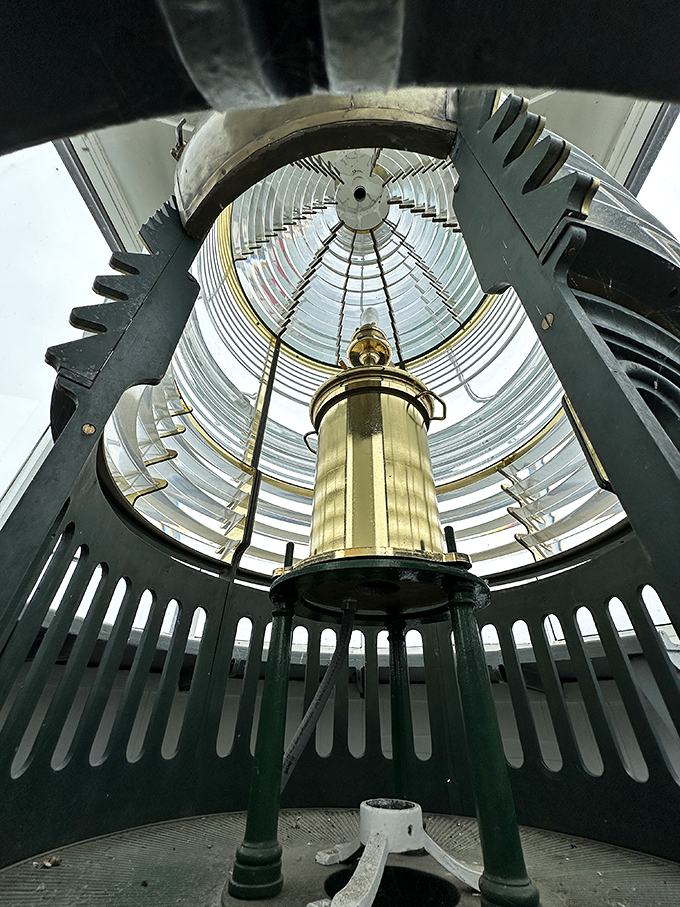 Fresnel lens inside a lighthouse: The technological marvel that saved countless sailors' lives. Like a crystal disco ball with a much nobler purpose.
