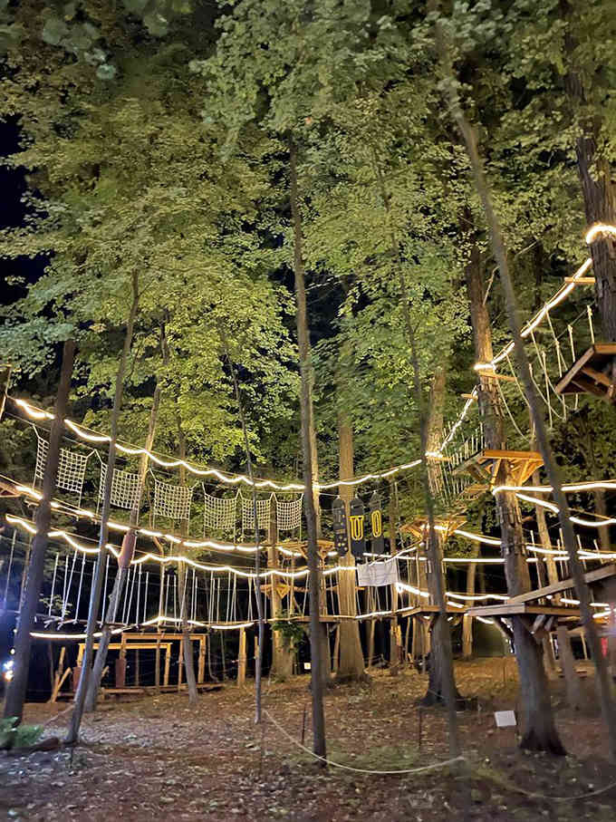 As darkness falls, the forest transforms into a magical wonderland of twinkling lights and shadowy challenges.