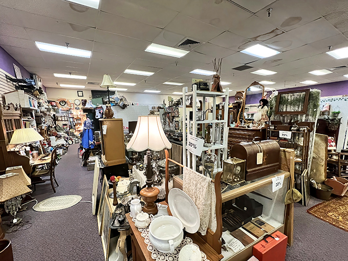 Aisles of carefully curated treasures create a labyrinth of discovery, where every turn promises new vintage delights for eager explorers.