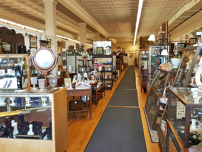 Sunlight streams across polished wood floors and illuminates endless rows of display cases, each one a miniature museum curated with passionate care.