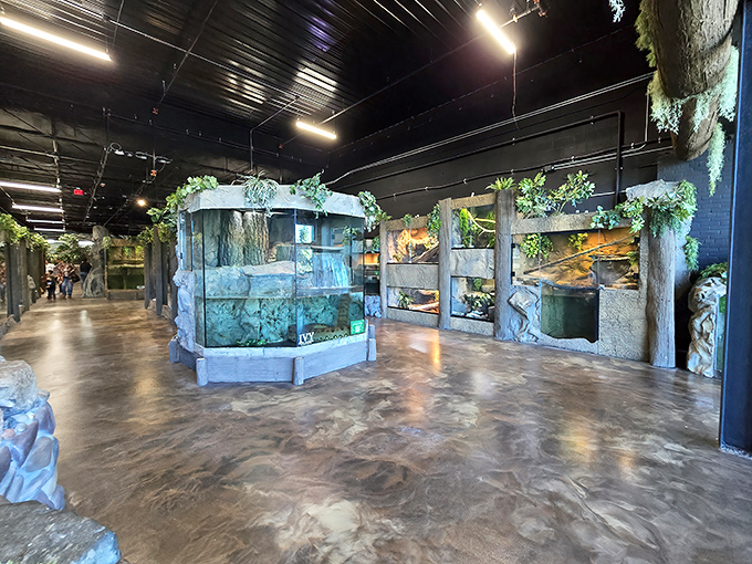 Inside, the exhibits create miniature ecosystems that make you forget you're in Michigan and not trekking through distant jungles.