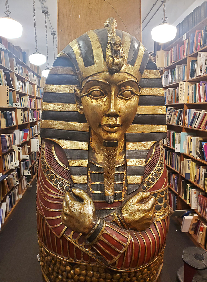 King Tut stands eternal guard among the stacks, a golden sentinel watching over history books with the patience of centuries.
