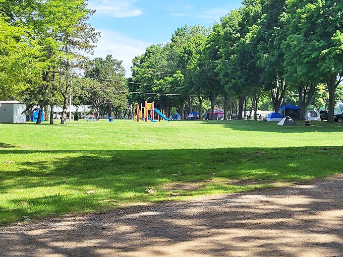 Green spaces that invite bare feet and lazy afternoons &ndash; nature's playground where screen time loses to sunshine every time.