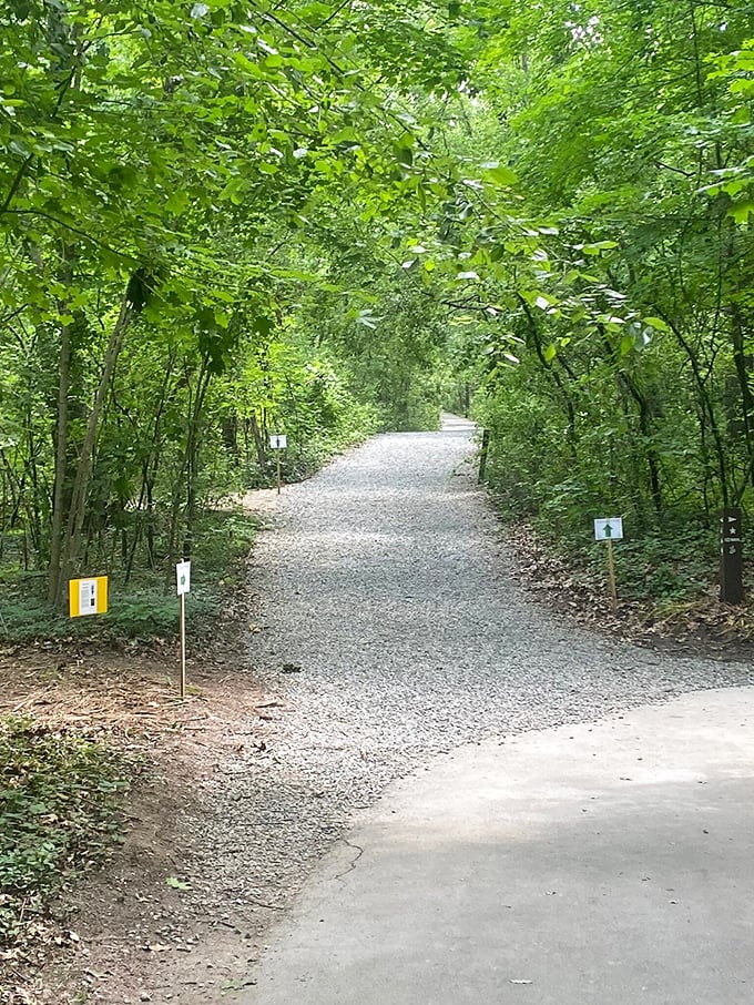 This unassuming gravel path is actually the gateway to an elevated forest experience &ndash; talk about a promotion!