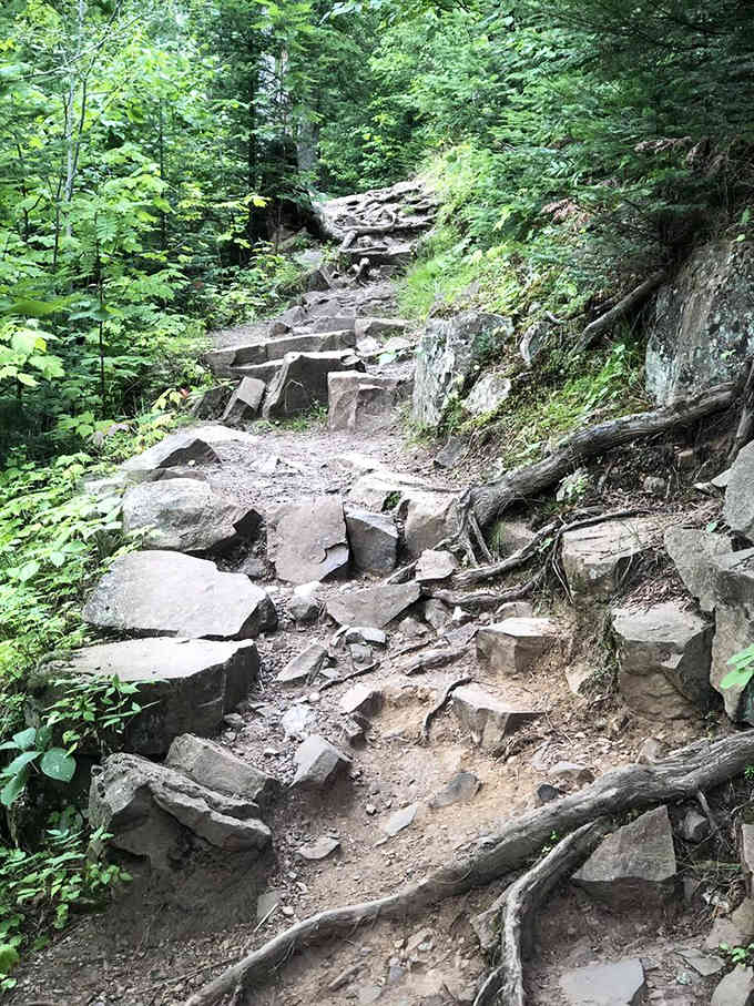Rocky hiking trail: Nature's stairmaster challenges hikers with ancient stone steps – the original "no pain, no gain" fitness equipment.