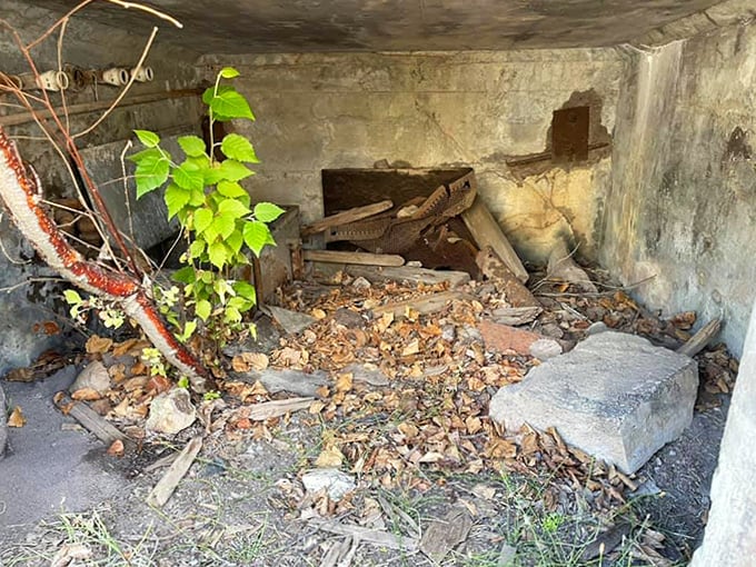 Time capsule or tomb? This small chamber once hummed with industrial purpose, now collecting only shadows and fallen leaves.