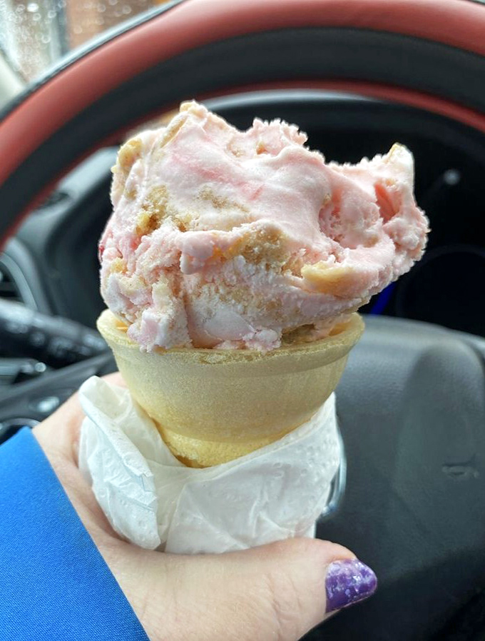 This strawberry cheesecake scoop isn't just ice cream &ndash; it's a pink-hued promise that sometimes life really can be this good.