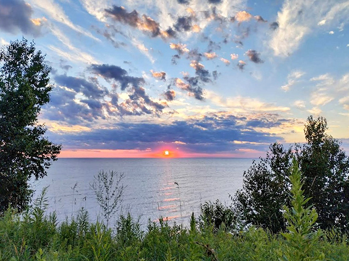 Nature's nightly light show puts Vegas to shame. Lake Michigan sunsets paint the sky with colors no artist could mix.