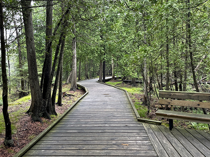 The Ridges Sanctuary's wooden boardwalks invite exploration through one of Wisconsin's most diverse ecosystems &ndash; nature's classroom without the homework.