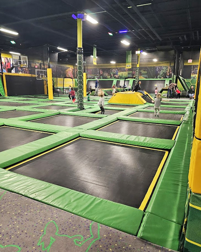 Rows of trampolines create a bouncer's paradise where gravity seems more like a gentle suggestion than an actual law of physics.