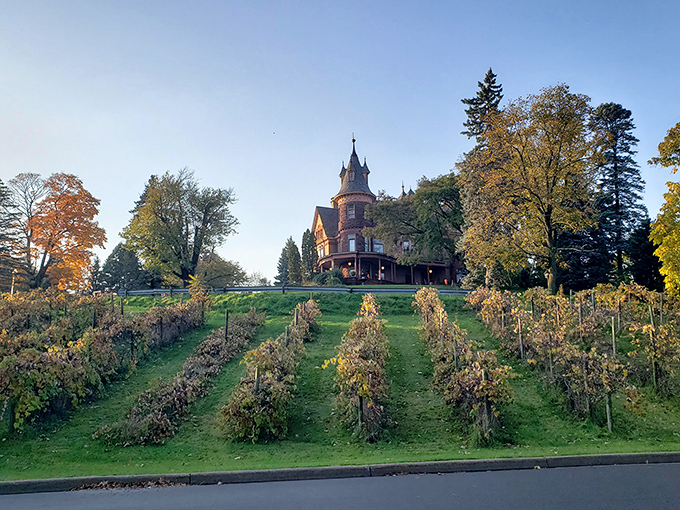 The castle's hillside vineyard adds European charm to the Michigan landscape, with neat rows of vines climbing toward the majestic structure.