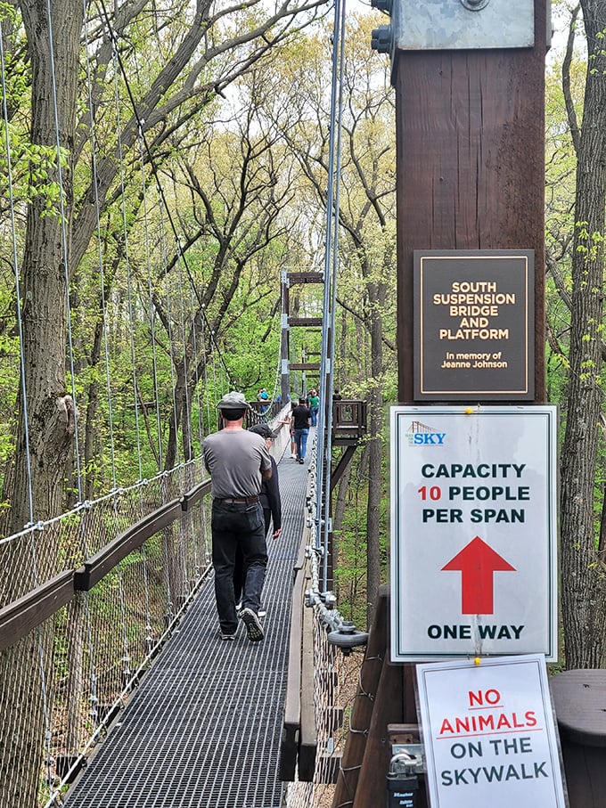 The suspension bridge holds up to eight people per span, though you might want the whole view to yourself for maximum tree-hugging tranquility.