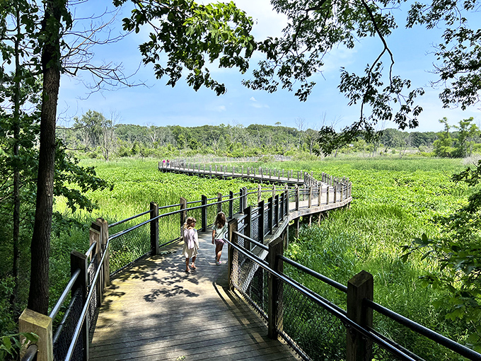 The marsh boardwalk stretches into the distance, inviting contemplation, bird-watching, or just standing there looking thoughtful for your Instagram followers.