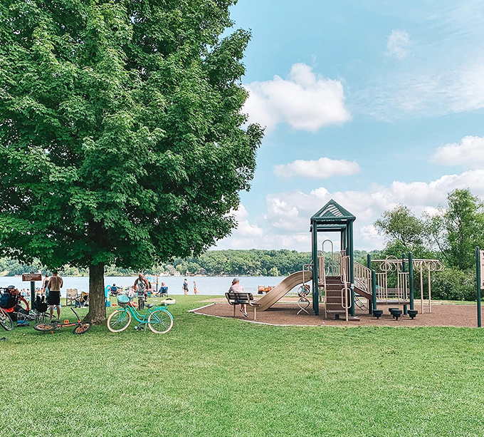 Waterloo Recreation Area's serene waters reflect Michigan's natural beauty, offering a mirror-perfect escape just minutes from downtown Chelsea.