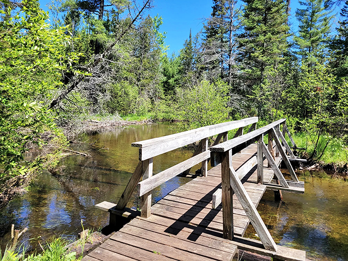 Sunlight dances on weathered planks as this angled footbridge offers the perfect vantage point for river-gazing.