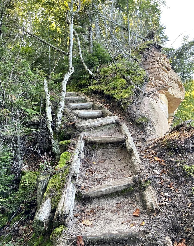 Rustic wooden steps carved into the hillside offer a stairway to heaven &ndash; if heaven were filled with spectacular Michigan views.