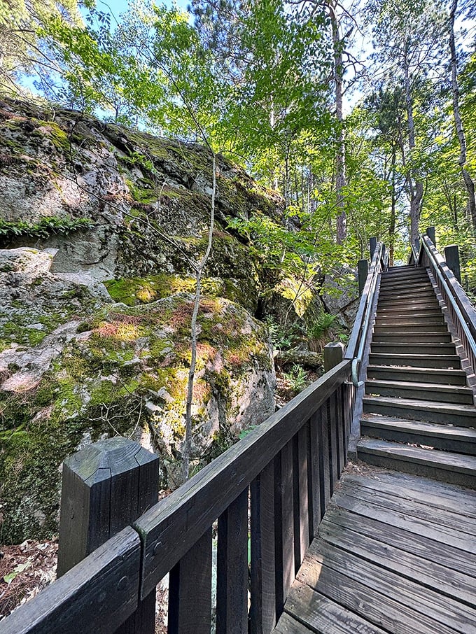 These wooden steps aren't just a trail feature &ndash; they're nature's StairMaster with views that make you forget your burning calves.