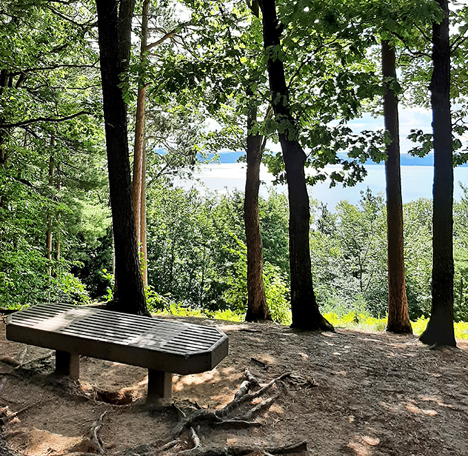 The strategically placed bench that's witnessed thousands of "wow" moments &ndash; the front-row seat to nature's greatest show.