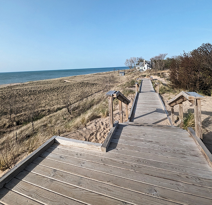 The wooden boardwalk winds through coastal dunes, offering accessibility and protecting the delicate ecosystem simultaneously.