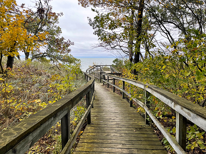 Nature's runway to relaxation! This wooden boardwalk guides visitors through coastal vegetation straight to Lake Huron's refreshing embrace.