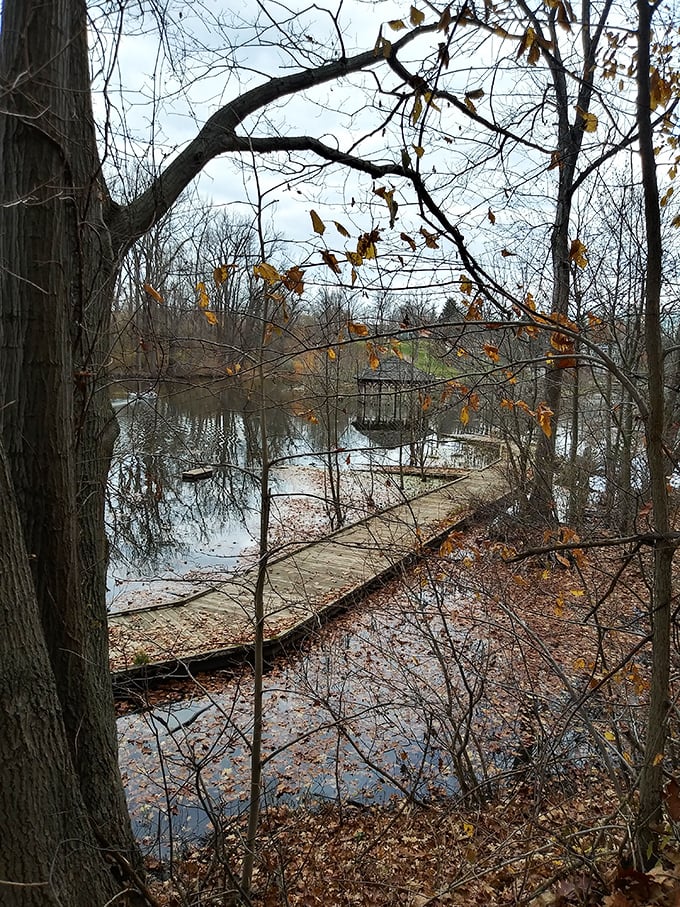 The boardwalk stretches like a wooden ribbon through wetlands, inviting explorers to venture deeper into nature's embrace.
