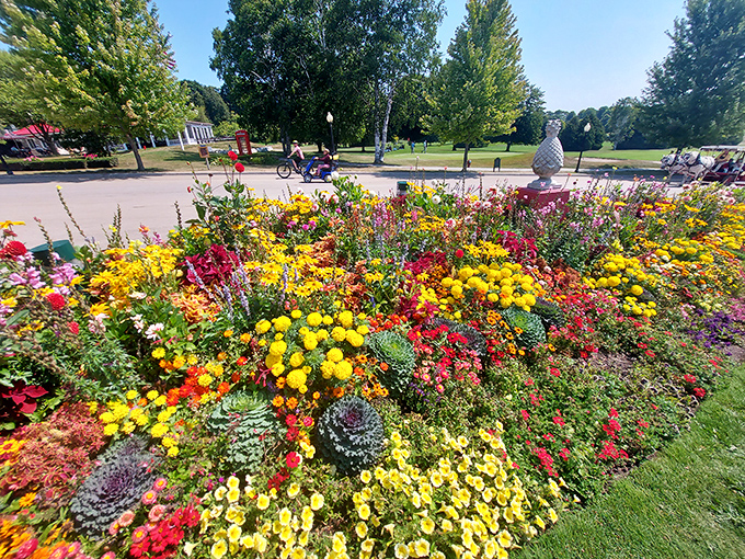 Color theory comes alive in these meticulously planned beds, where complementary hues create visual symphonies that practically sing as you walk by.