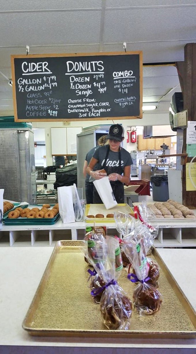 Fresh donuts being prepared behind the counter &ndash; a hypnotic dance of dough and sugar that's been perfecting Michigan mornings for generations.