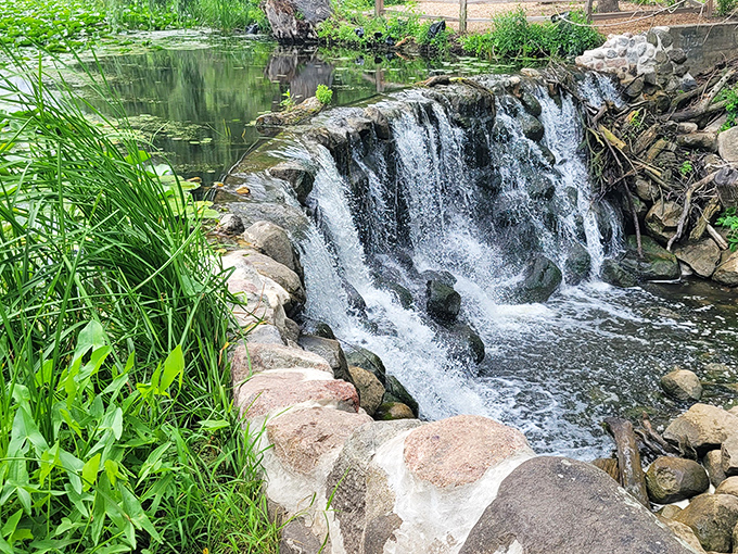 Water doesn't just flow here – it dances, creating ripples that hypnotize even the most dedicated phone-checkers into present moment awareness.