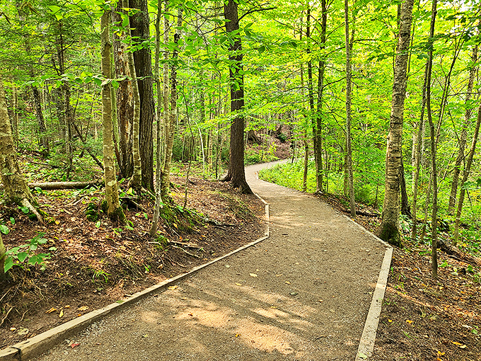 Winding through emerald tranquility, this well-maintained trail invites visitors of all abilities to discover nature's hidden treasures.