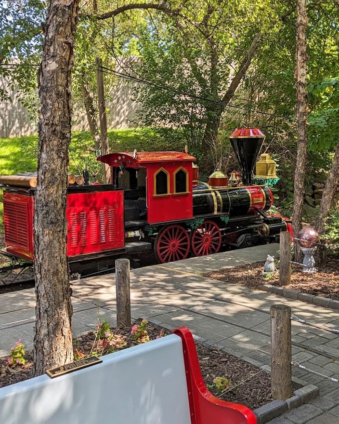 Tiny train, enormous smiles! This miniature marvel transforms ordinary zoo visits into extraordinary childhood memories.