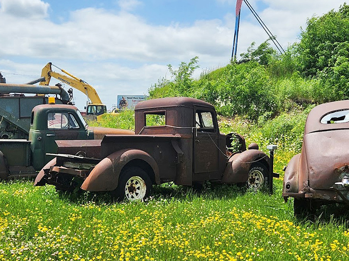 Detroit classics find eternal rest among wildflowers, their rusted frames telling stories of highways long traveled and adventures now ended.